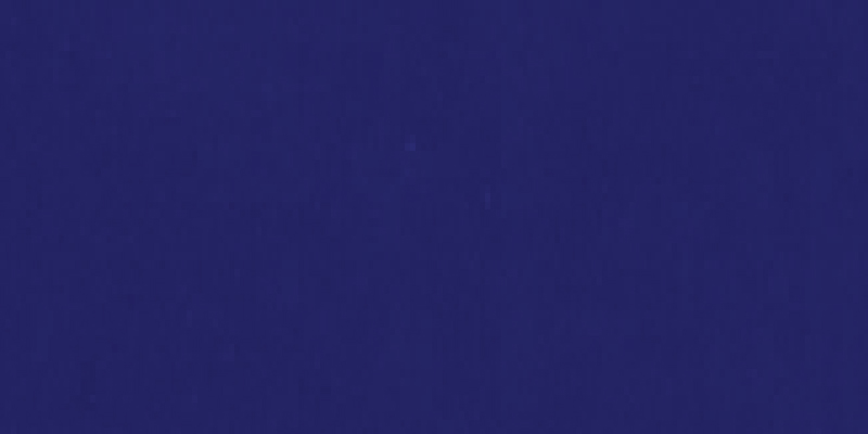 Blueberry Blue | D-307